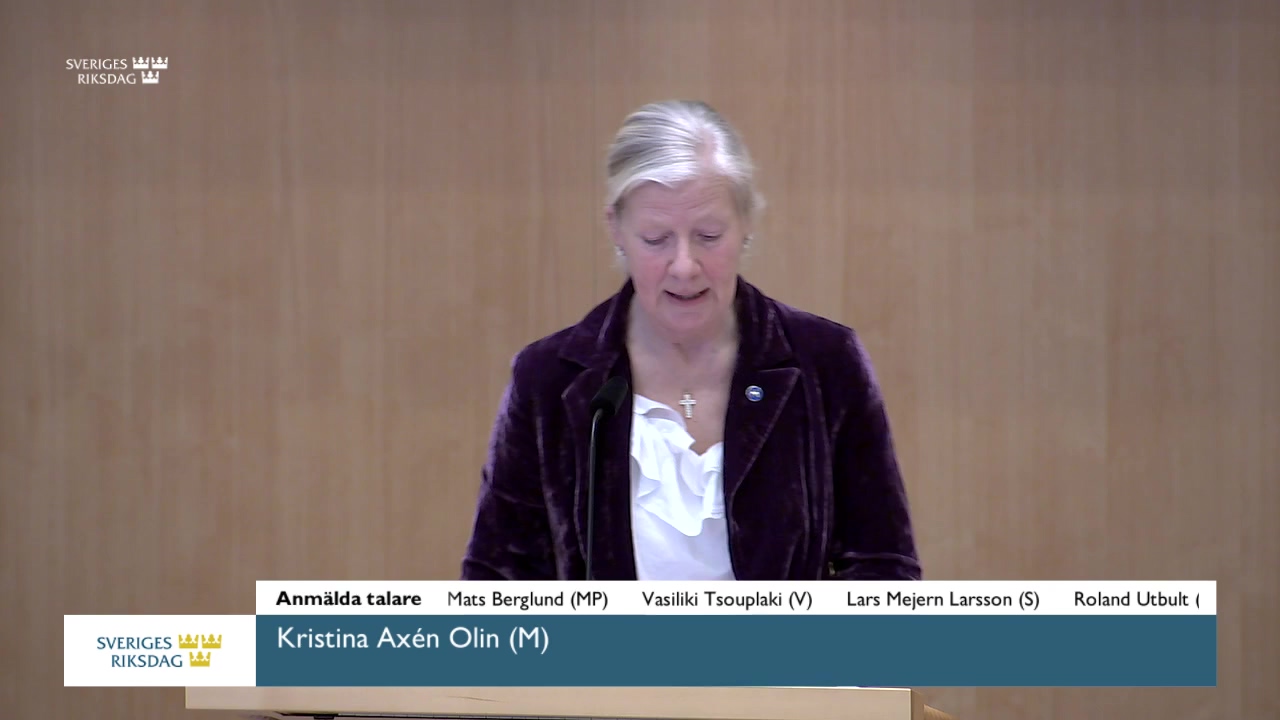 Public service, film och dataspel (Debatt om förslag 20 februari 2025 ...